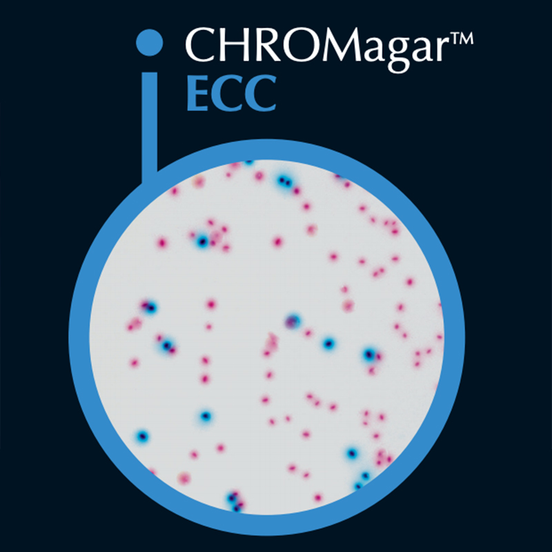 CHROMagar ECC - Labchem Catalog
