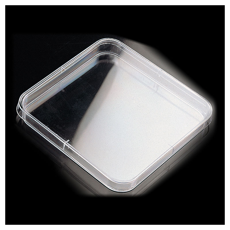 Petri Dish, Square, 120x120mm - Labchem Catalog